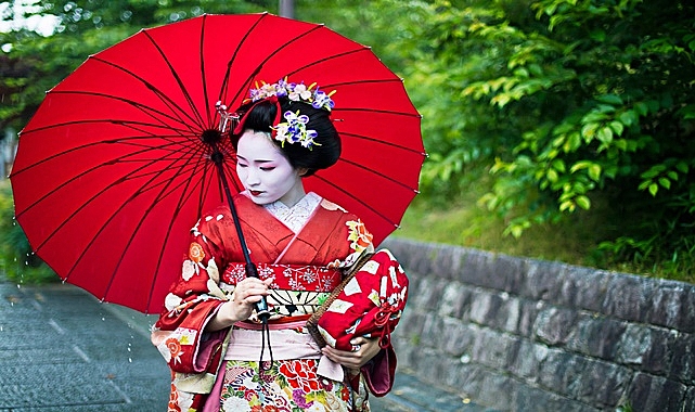 Enigmatic Elegance: Deciphering the Enigma of Japan's Geisha Culture ...